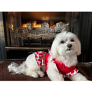 XPUDAC 4 Pieces Dog Dress Girl Dog Clothes for Small Dogs Girl Flower Dog Dresses for Small Dogs Apparel Colorful Small Dog Clothes Female (X-Small, 4 Flower)