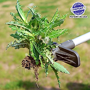 Walensee Upgraded Weed Puller, Stand Up Weeder Hand Tool, Long Handle Garden Weeding Tool with 5 Claws, Hound Weed Puller for Dandelion, Standup Weed Root Pulling Tool and Picker, Grabber (1 Pack)
