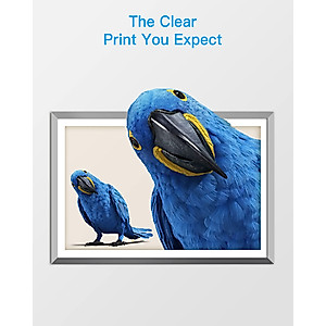 GPC Image Remanufactured Ink Cartridge Replacement for HP Ink 65 65XL Black and Color use with DeskJet 3755 2652 2655 3700 3752 Envy 5055 5052 5000 5010 AMP 100 120 Printer Tray(Black, Tri-Color)