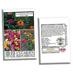 "California Giant Mix" Zinnia Seeds for Planting, 200+ Flower Seeds Per Packet, (Isla's Garden Seeds), Non GMO & Heirloom Seeds, Botanical Name: Zinnia elegans, Great Home Garden Gift