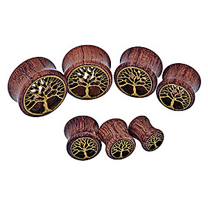 JOYTOYOU 3 Pairs Natural Wooden Ear Tunnels Plugs Hollow Double Flared Ear Expander Plugs Ear Piercing Ear Stretcher for Women and Men Gauge 20mm(3/4")