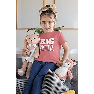 Big Sister Shirt Big Sister Announcement Toddler Shirts Promoted to Girls Outfit (White on Mauve, 3 Years)