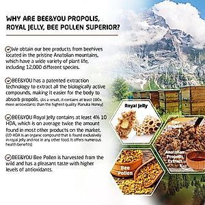 Bee and You Royal Jelly Raw Honey for Kids, Propolis Extract, 100% Natural Superfood, Ultra Pure, Immune Support Supplement, Antioxidants, Keto, Paleo, Gluten-Free, 6.7 oz