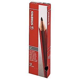 STABILO Coloured Pencil for Almost All Surfaces All - Pack of 12 - Brown