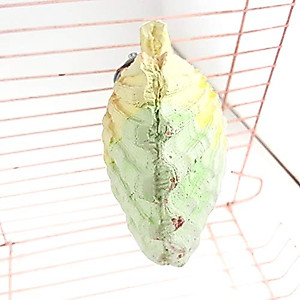 POPETPOP Parrot Perch Stand - 2PCs Shell Shape Totoro Squirrel Hamster Calcium Teeth Mouth Molar Grinding Stone Parrot Beak Stone Stand Platform