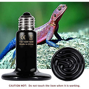 Zacro 2-Pack Reptile Heat Lamp 100W with One Digital Thermometer, Efficient Infrared Ceramic Bulb for Reptiles No-Light Lamp Heat Source Brooder Coop Heater 110V (Black)