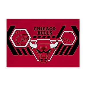 Northwest NBA Chicago Bulls Washable Rug, 20" x 32", Agile