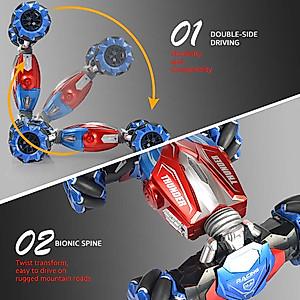 NQD Remote Control Car ,1:10 Scale Rc Stunt Car, 4wd Transform 25 Km/h Watch Gesture Sensor Car, Double Sided Rotating All Terrains Drift Vehicle with Lights Music
