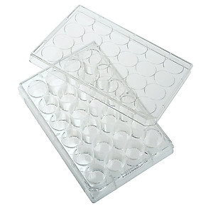 Celltreat 229123 24 Clear Polystyrene Well Tissue Culture Plate with Lid, Sterile, 1.93 cm2 Cell Growth Area, Flat Bottom, Individual Pack (Pack of 50)