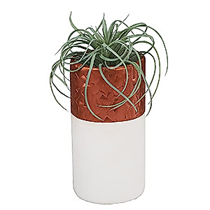 Sculpey Premo 24 Color sampler of Polymer Oven-Bake Clay, Non Toxic 1.5 lbs., Great for jewelry making, holiday, DIY, mixed media and more. Premium clay Great for clayers and artists.