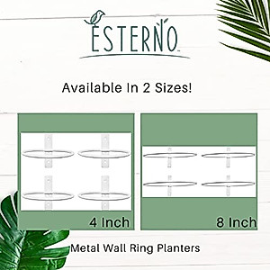 Esterno Metal Wall Ring Planters (8-Inch, White); Wall-Mounted Garden Pot Holders