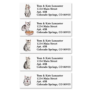 Colorful Images Kitty Cat Return Address Mailing Labels, Personalize with Name & Addresses, Set of 144 Self Adhesive, Easy Peel Flat Label Sheets, ⅝” x 2”, 6 Designs