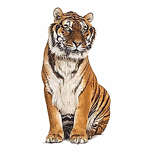 CozyDecor Tiger Wall Decal Sticker for Bedroom Kids Room, Tiger Decorations for Home Living Room Bedroom Playroom