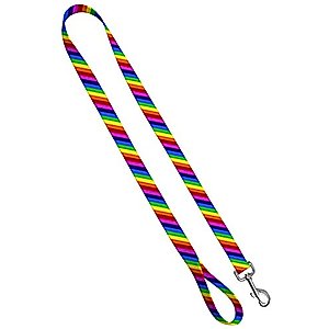 Moose Pet Wear Deluxe Dog Leash - Patterned Heavy Duty Pet Leashes, Made in The USA – 1 Inch x 4 Feet, Rainbow Stripe
