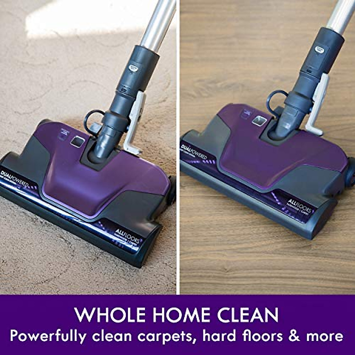 Kenmore 600 Series Friendly Lightweight Bagged Canister Vacuum with Pet PowerMate, Pop-N-Go Brush, 2 Motors, HEPA Filter, Aluminum Telescoping Wand, Retractable Cord and 4 Cleaning Tools, Purple