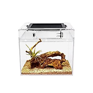 Reptile Growth Mini Reptile Terrarium,8" x 8"x 8" Reptile Tank with Full View Visually Appealing，for Insect，Fish，Tarantula，Hermit Crab，Jumping Spider，Iguana，Tortoise，Leopard Gecko，Frog，Bearded Dragon