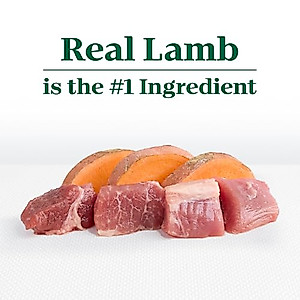 NUTRO Limited Ingredient Diet Adult Dry Dog Food Lamb & Sweet Potato Dog Kibble, 4 lb. Bag