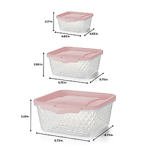 Plasvale Food Storage Plastic Containers Set of Crystal Line - 6 Pieces - Microwave, Freezer and Dishwasher Safe - BPA Free (Rose)