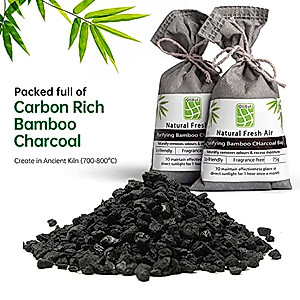 10 Pack Bamboo Charcoal Nature Fresh Air Purifying Bags,Activated Charcoal Bags Odor Absorber, Moisture Eliminator,Deodorizer, Air Fresheners For Car Smell,Closet,Shoe,large Room,Pet Room (10x75g)