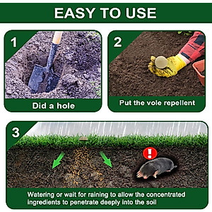 ANEWNICE Mole Repellent,Vole Repellent Outdoor,Natural Gopher Repellent,Mole Deterrent for Lawn,Get Rid of Moles in Your Yard, Outdoor Groundhog&Mole Control, Wofimeha Safe Around Pet & Plant (8 Pack)