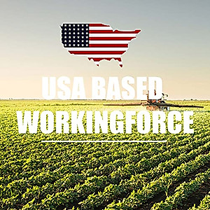 Dichmag 2000+ Rainbow Carrot Seeds for Planting - Organic Carrot Seeds Packet Grow Garden Yard - Multiple Colors Roots Vegetable Seeds(Non-GMO)