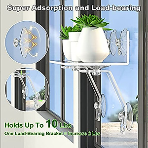 NPPLUS Acrylic Suction Cup Shelf, Tool Free Window Plant Shelves With Legs, 12 Inches Clear Acrylic Indoor Ledge Garden Stand with for Growing Herbs, Microgreens, Succulents,Etc.(1 Pack)