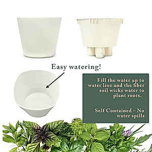 Window Garden Herbs Kit - Herb Growing Kit, Easy to Grow Herbs Seeds for Kitchen sill Indoors or Outdoors, Planting Made Easy with This Spice Garden Starter with Bamboo Markers, Gardening Kit