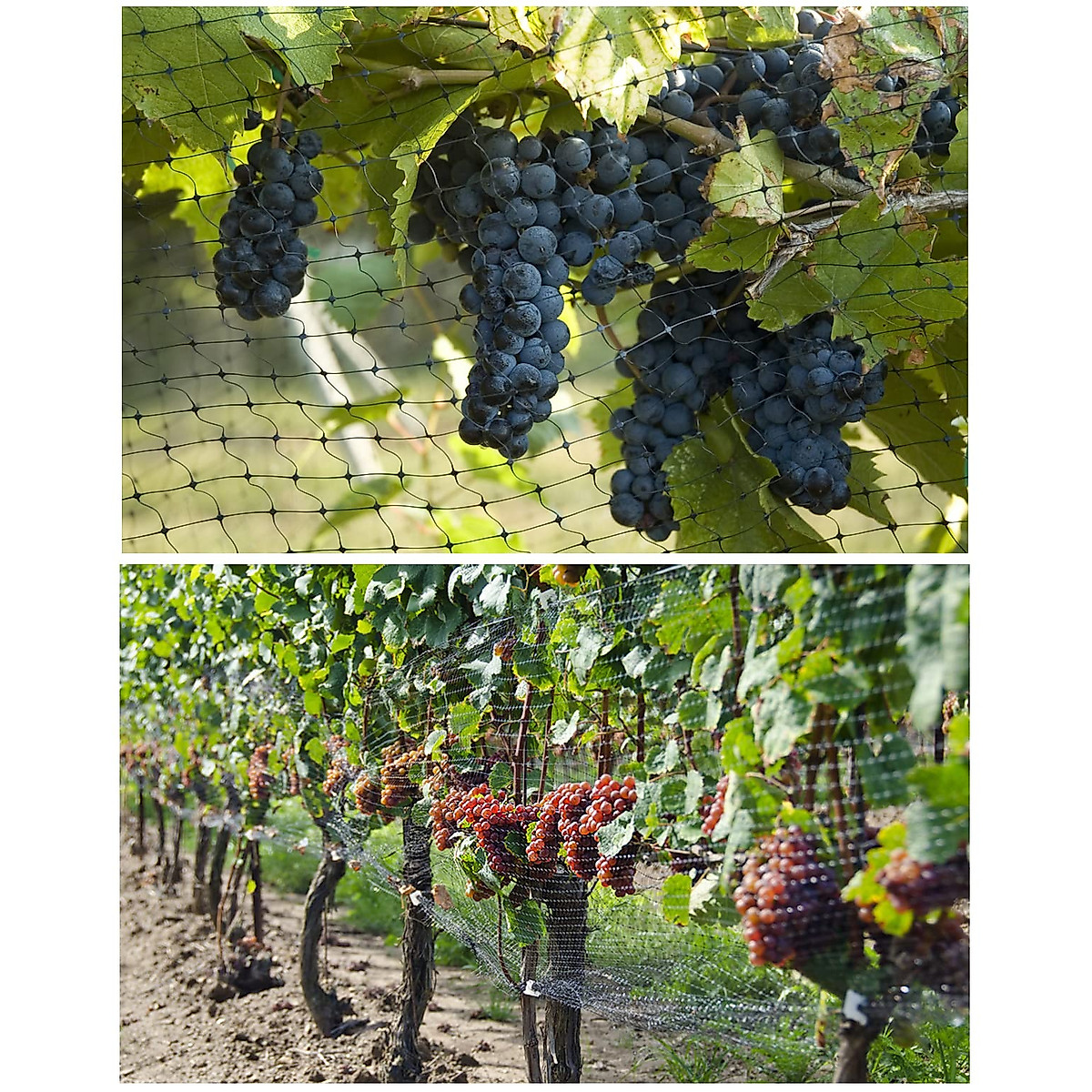 Unves Bird Netting, 13 x 33 Feet Reusable Heavy Duty Fruit Tree Netting with 50pcs Cable Ties, Garden Netting for Seedlings Plants Vegetables Protection from Birds and Animals Reusable Fencing