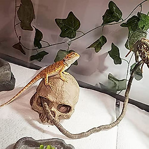 Tfwadmx Reptiles Skull Hide Decorations Bearded Dragon Tank Accessories Terrarium Ornament Gecko Hideouts Cave Snake Habitat Jungle Climber Bendable Vines Leaves for Lizards,Chameleon,Spider (4 Pcs)