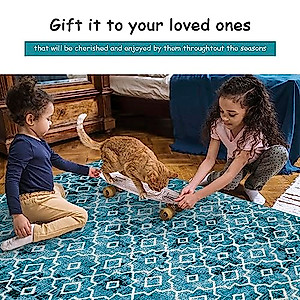 Moynesa Boho 3x5 Area Rug, Modern Washable Teal Kitchen Rugs Non-Slip Entry Throw Rug Laundry Room Rugs Faux Wool Mat Low-Pile Floor Carpet for Entrance Living Room Bedroom Dining