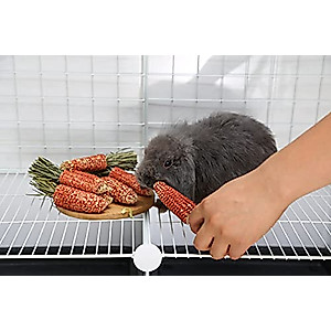 PStarDMoon Natural Guinea Pig Chew Toy, Dried Corn Sticks with Timothy Hay, Molar Toys for Bunnies Rabbits Chinchilla Hamsters Guinea Pigs Gerbils Groundhog Squirrels （5 PCS ）