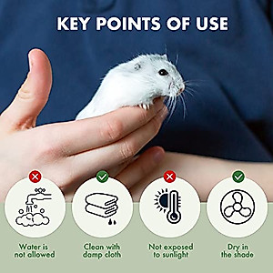 MEWOOFUN Guinea Pig Toys Hamster Toys Interactive Foraging Toys, Interactive Hide Treats for Small Animals,Foraging Puzzle for Hamster, Guinea Pig, Rabbit, Chinchilla, Bunny