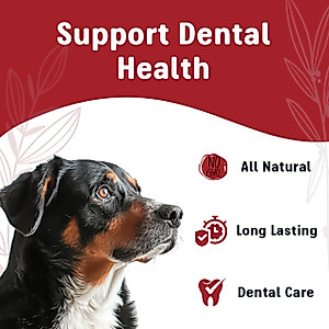 PUPSON 6" Bully Sticks for Dogs, 100% Natural Beef Pizzle Chews, Grass-Fed, Non-GMO, Grain-Free, Long-Lasting Dog Treats for Medium & Large Dogs, Jumbo, 12 Pack