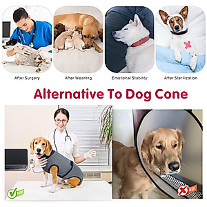 Idepet Dog Recovery Suit for Dogs After Surgery,Onesie Dogs Surgery Suit Female Male Soft Breathable Pet Bodysuit E-Collar & Cone Alternative Surgical Spay Suit Abdominal Anti Licking Wounds (M)