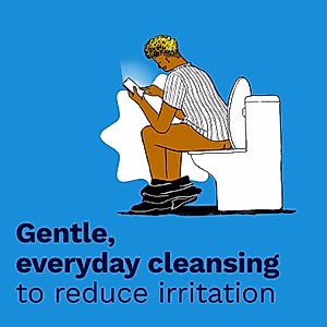 Preparation H Hemorrhoid Flushable Wipes with Witch Hazel for Skin Irritation Relief - 60 Count (Pack of 4)