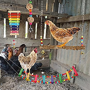 12 PCS Chicken Toys for Chicks Coop Accessories, Chicken Swing Ladder Perch Roosts, Xylophone Toy, Mirror Toy, Chicken Vegetable Fruits String Bag, Pecking Toys and Hanging Feeders for Hens in Coop