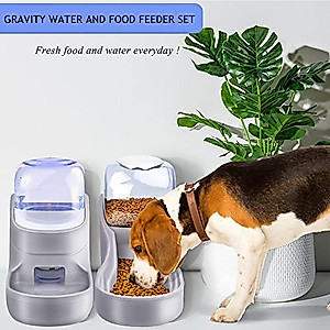Automatic Pet Feeder and Waterer Cat Dog Gravity Food Bowl Set 3.8 L with 1 Water Dispenser and 1 Food Feeder for Small, Medium & Big Pets (Gray)