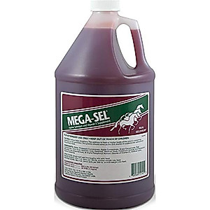 Mega-Sel Liquid Formula For Horses, 1 Gallon (128 Fl oz)