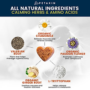 2 Pack Petaxin Calming Treats for Dogs - Stress & Anxiety Relief for Dogs - Supports Calm & Relaxed Behavior - Calming Chews for Dogs with Chamomile, Ginger, & More for Barking, Fireworks - 240 Chews