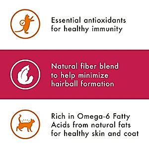 NUTRO WHOLESOME ESSENTIALS Natural Dry Cat Food, Hairball Control Adult Cat Chicken & Brown Rice Recipe Cat Kibble, 5 lb. Bag