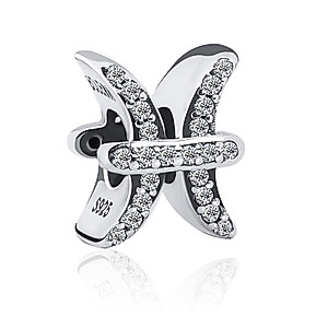 12 Zodiac Signs Birthday Constellations 925 Sterling Silver Charm Bead fits Pandora Bracelets & Necklaces & More (Pisces)