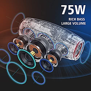 ZEALOT Bluetooth Speakers,75W Portable Bluetooth Speakers with Subwoofer,Speakers Bluetooth Wireless IPX6 Waterproof,50H Play,Deep Bass,Stereo Loud,EQ,Bluetooth Speaker for Party,Beach,Camping(Black)