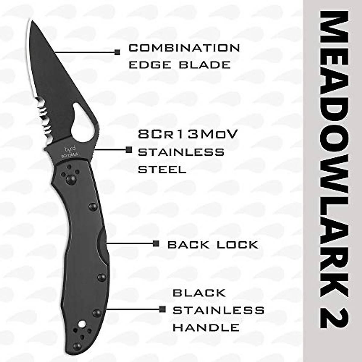 Spyderco Byrd Meadowlark 2 Knife with 2.90" Black Steel Blade and Durable Black Stainless Steel Handle - CombinationEdge - BY04BKPS2