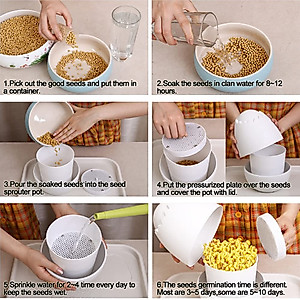 LeJoy Garden Seed Sprouter,Egg Shaped Germination Pot,BPA Free Soil-Free Healthy Wheatgrass Grower with Lid,Cretive Design Sprouting Kit