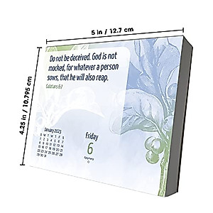 2023 Bible Verses Day-at-a-Time Box Calendar