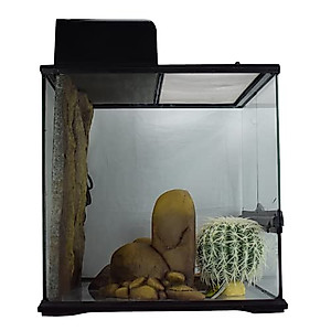 Exo Terra Desert Habitat Kit, Reptile Terrarium Starter Kit, Medium, PT2652A1