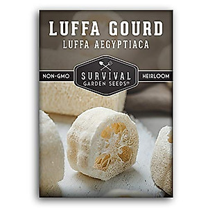 Survival Garden Seeds - Luffa or Loofah Seed for Planting - Packet with Instructions to Plant and Grow Ornamental Gourds in Your Home Vegetable Garden - Non-GMO Heirloom Variety - 1 Pack