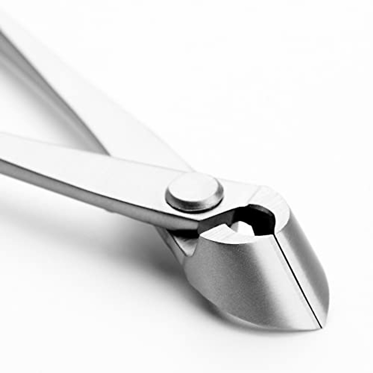 tianbonsai 165 Mm Branch Cutter Straight Edge Bonsai Branches Cutter Bonsai Tools