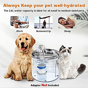 Cat Water Fountain Stainless Steel -SINDOX Dog Water Bowl Fountain, 2.6L/88oz Automatic Cat Fountains Ultra Quiet Pet Drinking Water Dispenser for Cats, Dogs, Multiple Pets with 3 Filters-Transparent