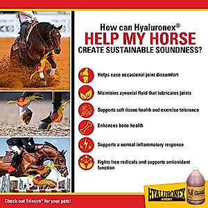 Hyaluronex - Liquid Joint Supplement for Senior Horses - Half Gallon (64 Days Supply)